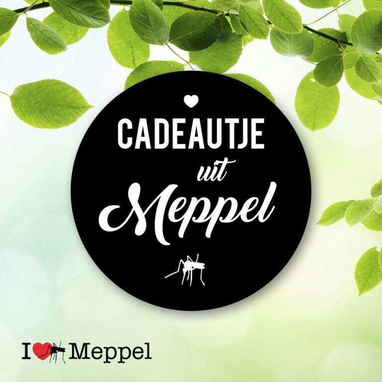Sticker Cadeautje uit Meppel (5 stuks) - I Love Meppel